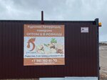 РусМит (Udmurtian Republic, Zavyalovskiy rayon, 2-ya promyshlennaya zona, 9А), kanatlı hayvan ürünleri ve yumurta  Udmurtiya'dan