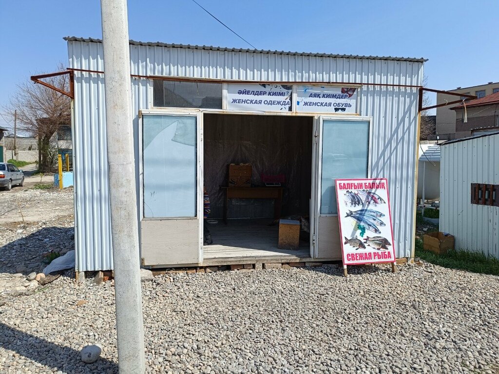 Balık ve deniz ürünleri Fresh Fish, Çimkent (Şımkent), foto