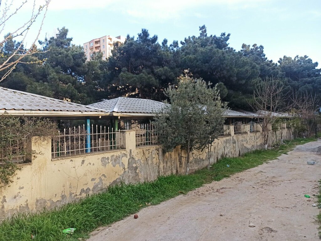 Anaokulları Kindergarten № 279, Bakü, foto