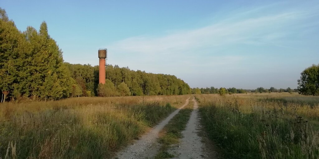 Orman Борисовский лес, Moskova ve Moskovskaya oblastı, foto