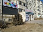 Tax Reports (No:5, 32B yqsham aýdany), mali müşavir  Aktav'dan