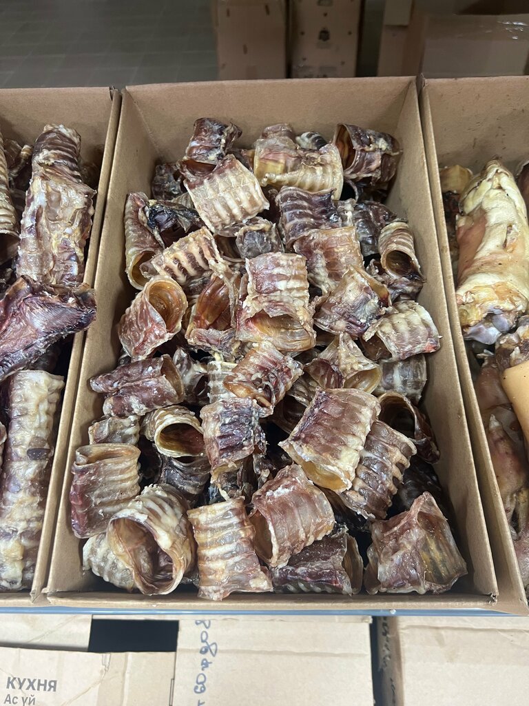 Petshop Лакомства для собак, Puşkino, foto