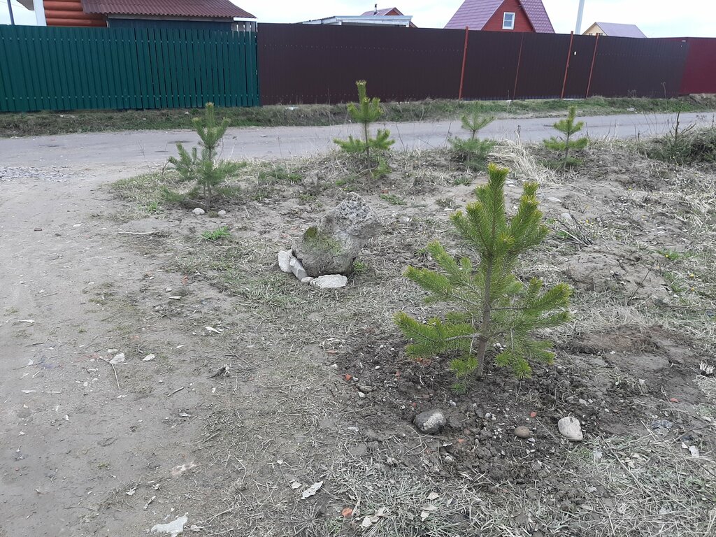 Yazlık yerleşim Стсн Сказка, Saint‑Petersburg ve Leningradskaya oblastı, foto