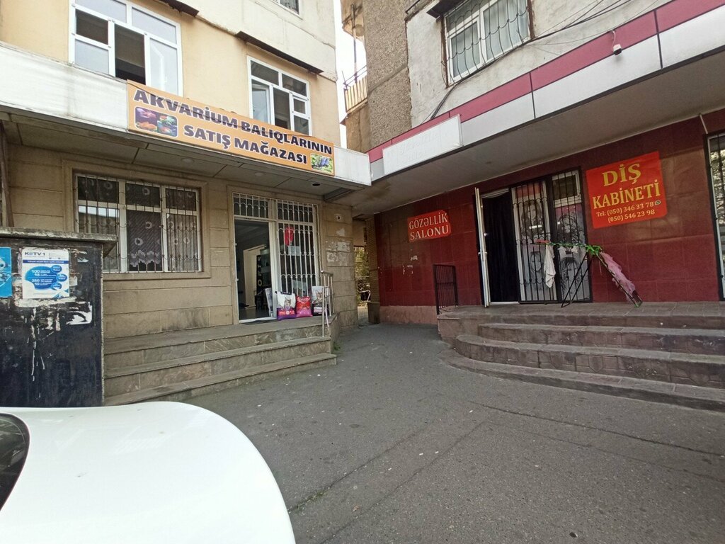 Akvaryumlar Akvarium Balıqlarnın Satış Magazası, Bakü, foto