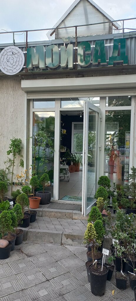 Sera ve bahçe ürünleri Мой сад, Kaliningrad, foto