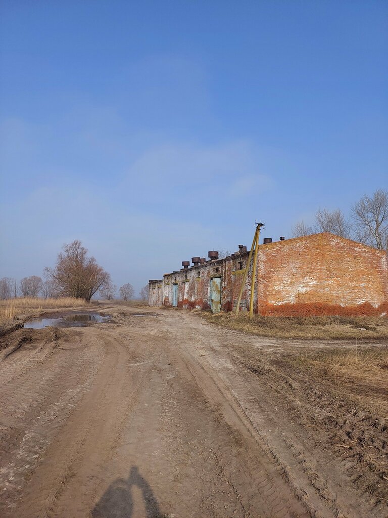 Hava meydanı Uborak Airfield, Gomelskaya oblastı, foto