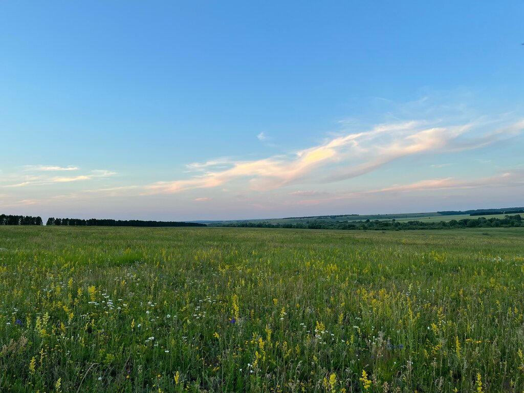 Orman Мордово-Шадымский лес, Mordovya, foto