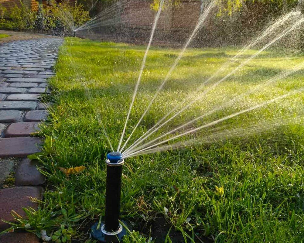 Peyzaj tasarımı Poliv i Gazon, Moskova, foto