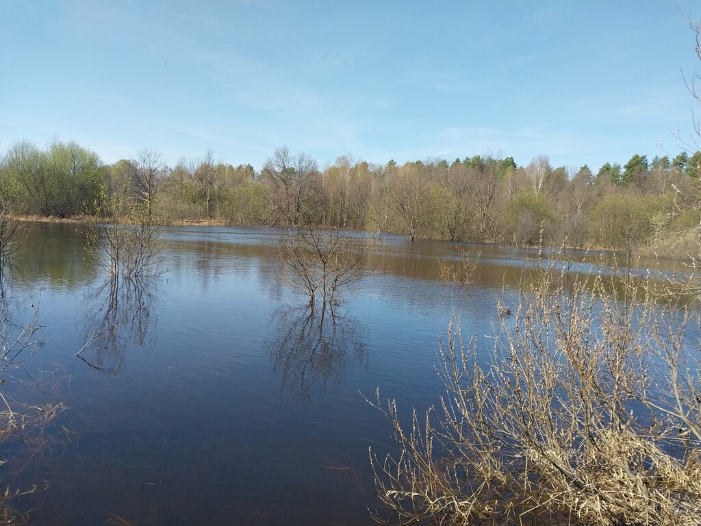 Helikopter pisti вертолётная площадка Мошна, Nijegorodskaya oblastı, foto