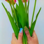Tulip Ladies Salon (17/4, Al Taawun Street, Sharjah), güzellik salonu
