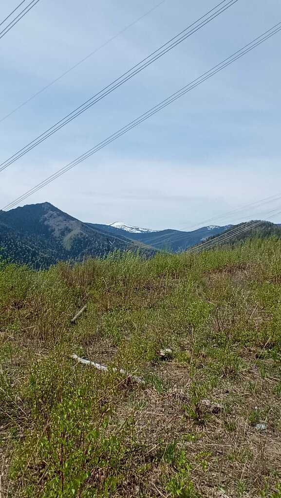 Dağ zirvesi Mount Shishak, Hakasya, foto