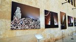Art Vision (113, Al Corniche Street, Shwaihean, Al Gharb, Sharjah), hobi, elişi için ürünler  Sharjah'tan