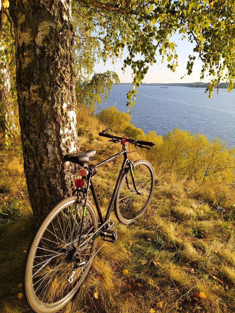 Plaj Beach, Yaroslavskaya oblastı, foto