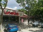 Linella (strada Independenței No:3/1), süpermarket  Kişinev'den