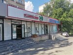 Planeta Zoo K-9 (Traian boulevard No:6/1, Chisinau), petshop  Kişinev'den