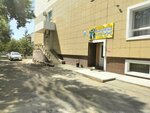 VIP Statement (Shaıahmetov kóshesi No:118А), kutlama ürünleri  Kostanay'dan