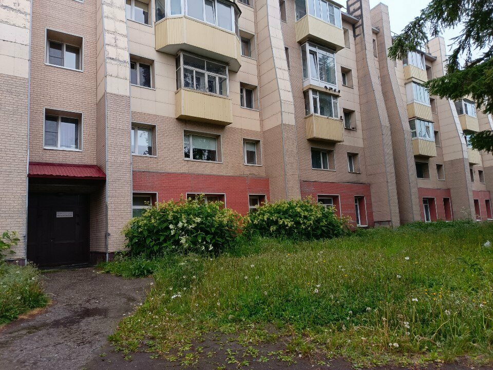 Meslek kursları Паллада, театр-студия, Petropavlovsk, foto