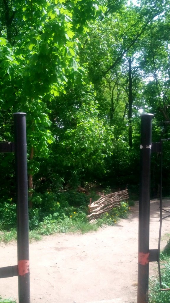 Meydan Сквер Здоровья, Voronej, foto