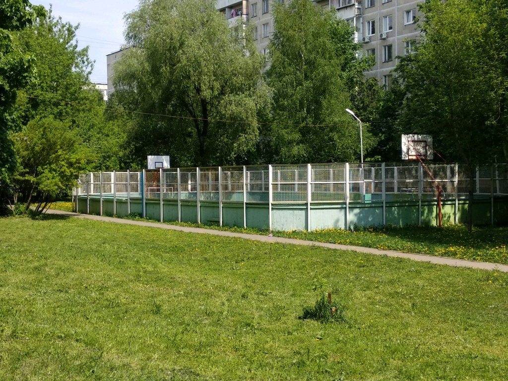 Spor alanı Dvorovaya territoriya, Moskova, foto