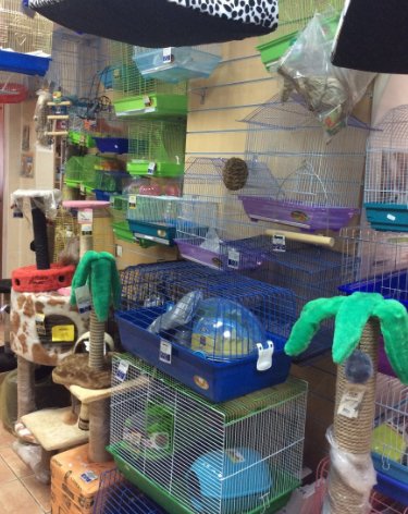Petshop 4 Lapy, Novokuznetsk, foto