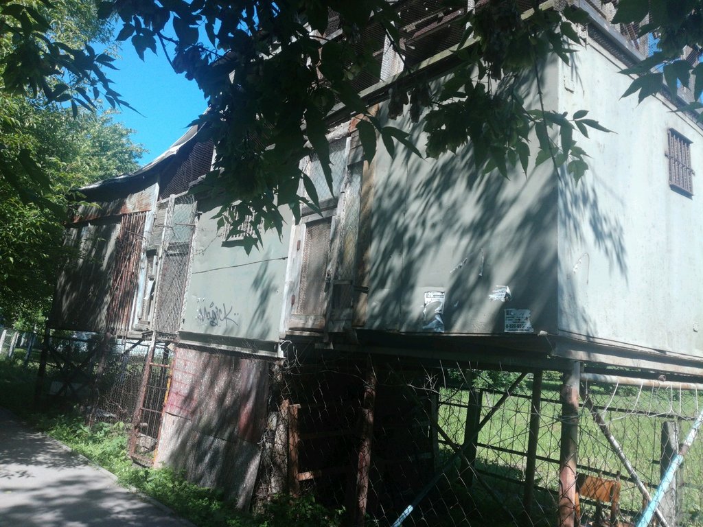 Evcil hayvan yetiştiricileri Голубиный питомник, Nijni Novgorod, foto