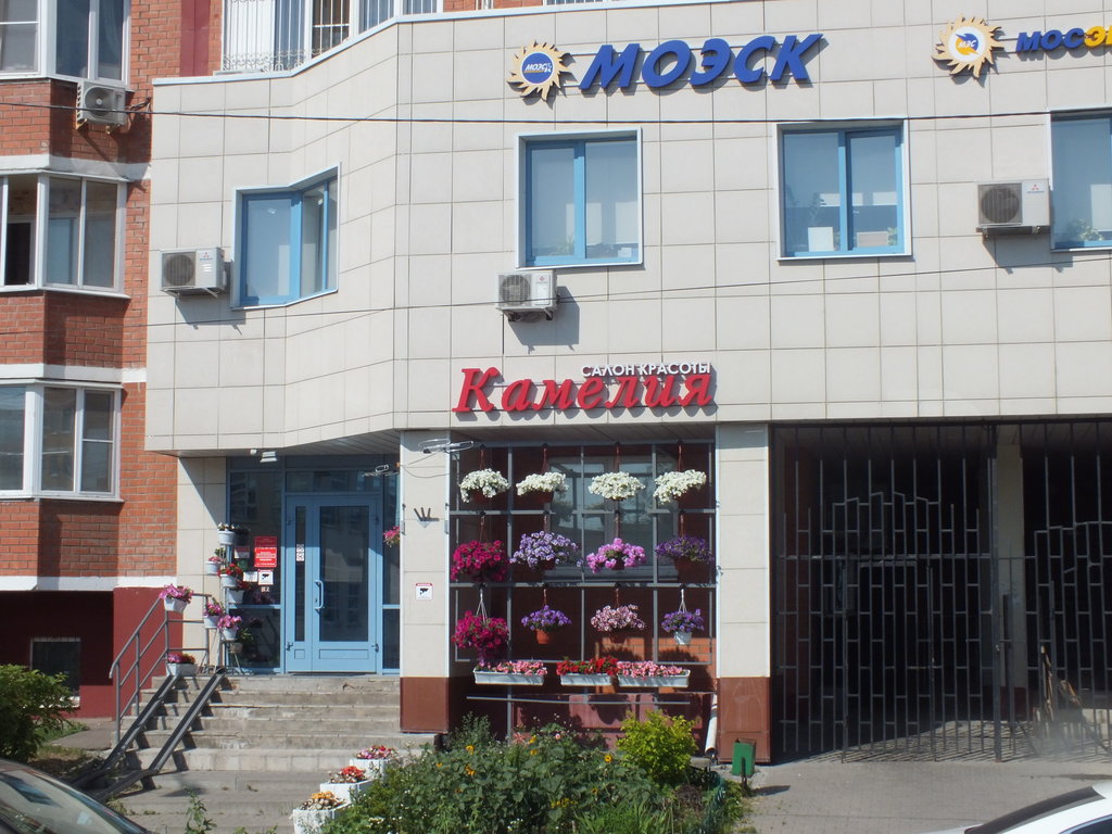 Güzellik salonu Kamelia, Moskovski, foto