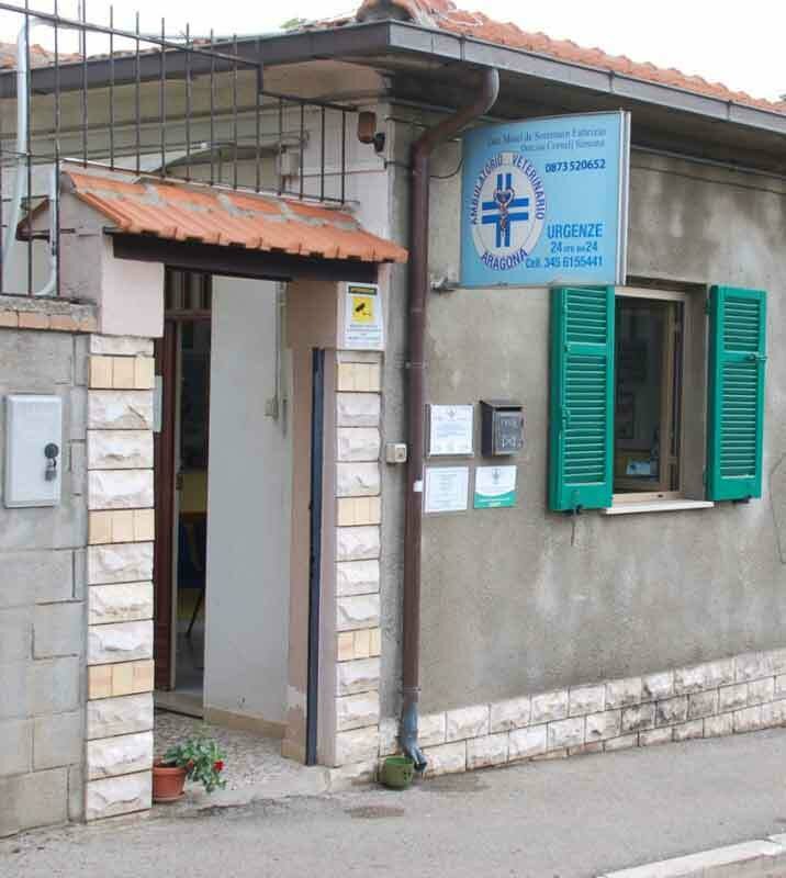 Veteriner klinikleri Ambulatorio Veterinario Aragona, Abruzzo, foto
