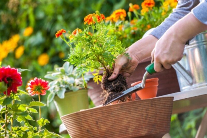 Bahçe ekipmanları ve teknolojileri Giardinaggio Cattaneo Luigi Stefano, Lombardiya, foto