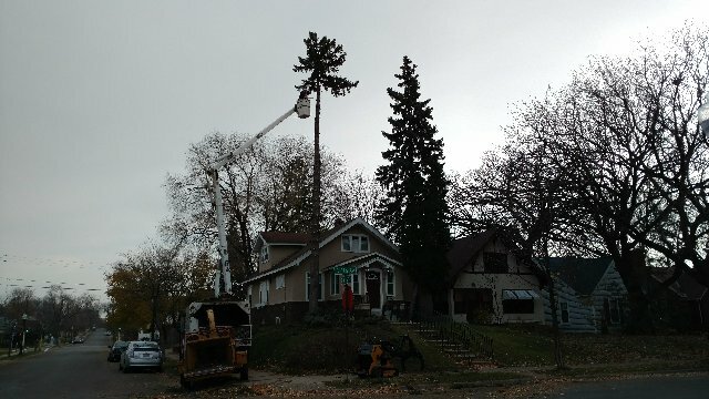 Bahçe ekipmanları ve teknolojileri A Cut Above Tree Service, Doğu Peoria, foto