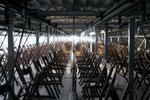 Carpenteria Manzanese Mittone Srl (Via Trento No:6, Manzano), kaynak işleri  Friuli‑Venezia Giulia'dan