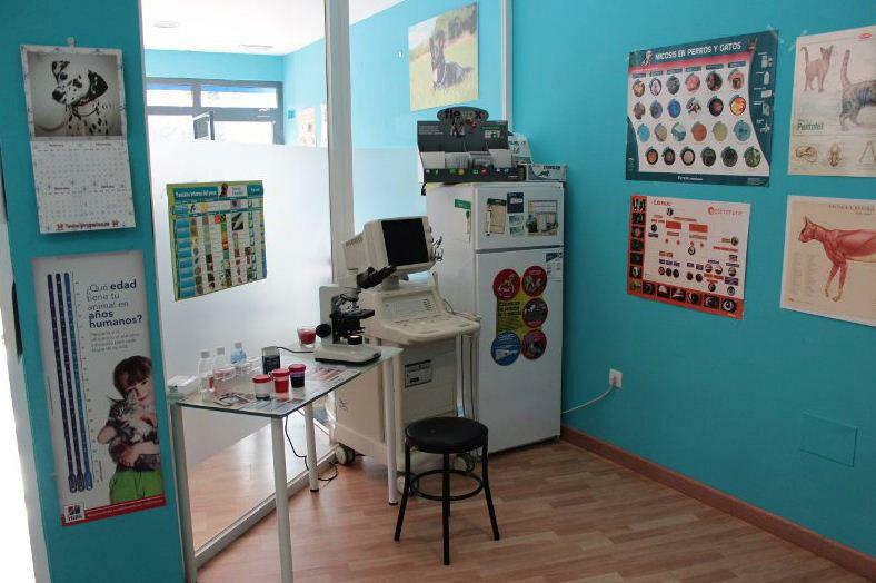 Veteriner klinikleri Centro Veterinario Animalia, Valladolid, foto