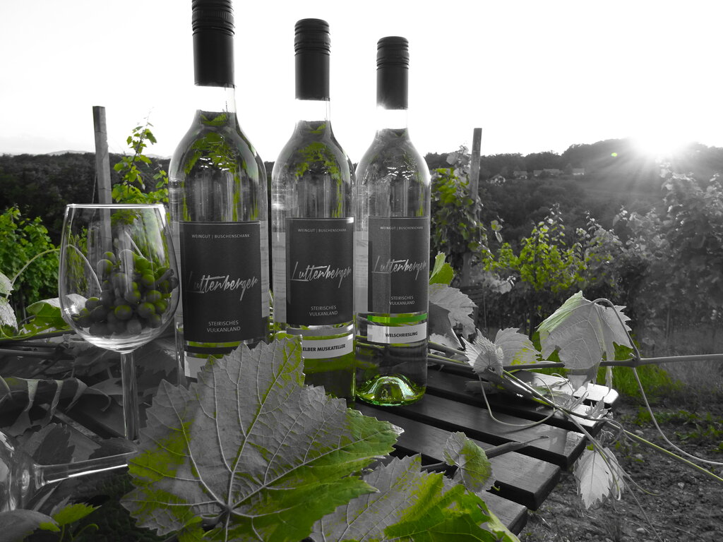 Şarap ve içki toptan satışları Buschenschank Weingut Luttenberger Rupert, Steiermark, foto