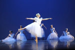 Centrodanza Isadora (Friuli-Venezia Giulia, Pordenone, San Vito al Tagliamento), dans okulları  Friuli‑Venezia Giulia'dan