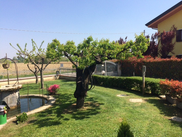 Veteriner klinikleri Ambulatorio Veterinario Monterosso, Dünya, foto