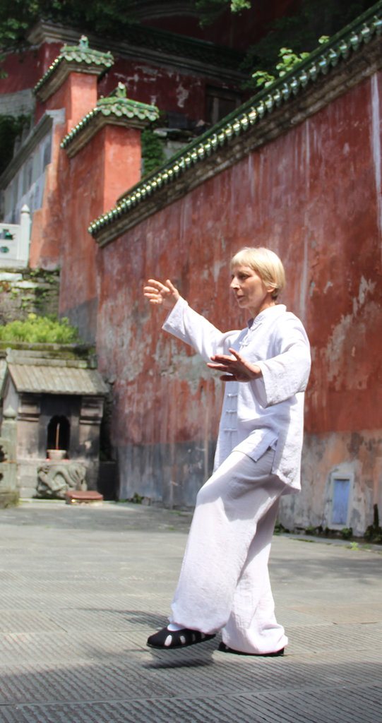 Sağlık merkezleri Master Wang Lin's School, Moskova, foto