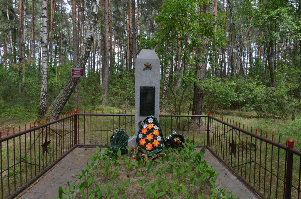 Anıt, heykel Братская могила советских активистов, расстрелянных 28 августа 1941 года, Brestskaya oblastı, foto