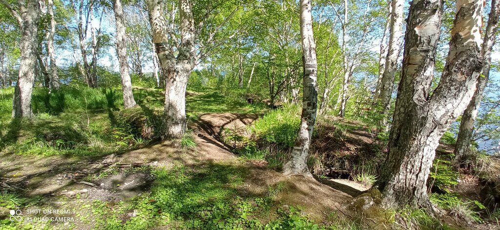 Dağ zirvesi Мыс Магнитный, Habarovski krayı, foto