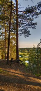 Бабья гора 250 метров (Yaroslavl Region, Pereslavl-Zalesskiy munitsipalny okrug), dağ zirvesi  İvanovskaya oblastından
