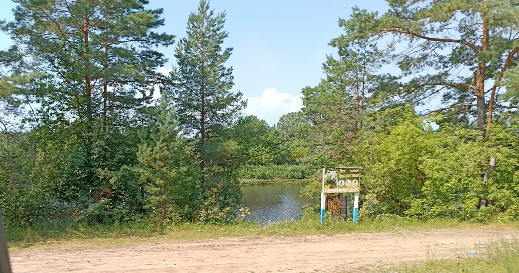 Plaj Дачный пляж, Brianskaya oblastı, foto