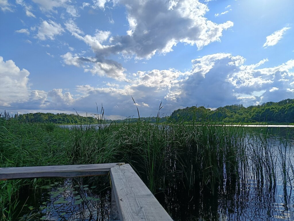 i̇skele Jetty , Tverskaya oblastı, foto