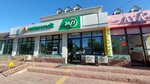 Herbalife Nutrition (Junusaliev street No:2), besin takviyesi, aktariye  Taraz'dan