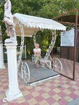 Казачий Берег (Belgorod Region, Stariy Oskol, Ptichiy ostrov), i̇skele  Stariy Oskol'dan