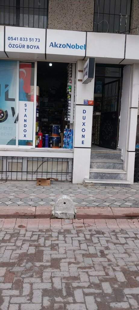Boya ve cila malzemeleri üretim ve satış yerleri Özgür boya akzo nobel, İstanbul, foto