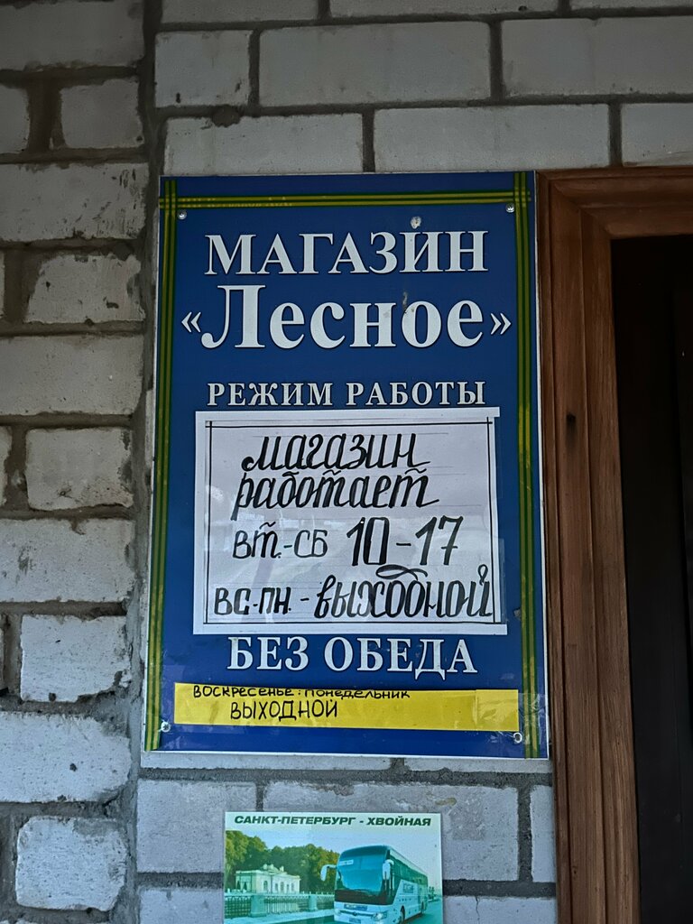 Market Лесное, Novgorodskaya oblastı, foto