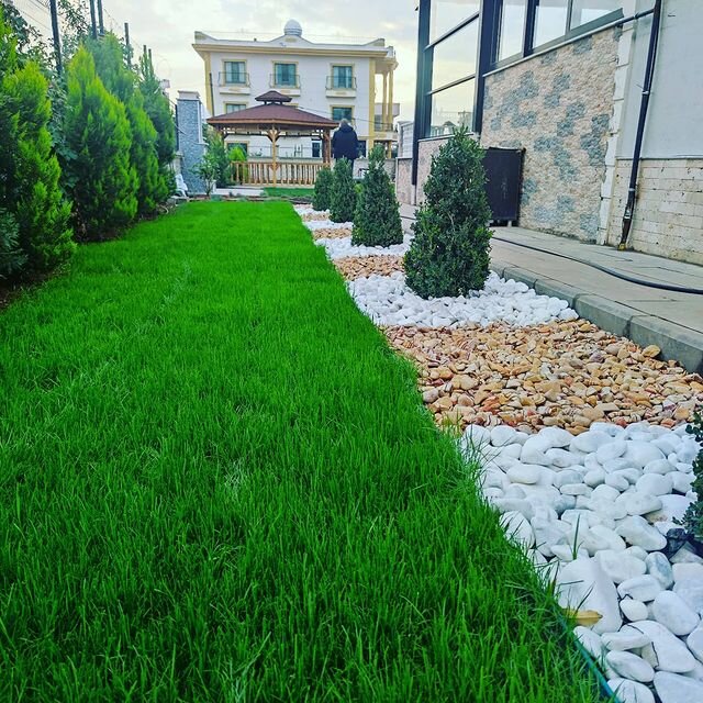 Yem ve yem katkı maddeleri Çim Art Tohumculuk, Ankara, foto