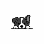 Zootovary (ulitsa Dianova No:14), petshop  Omsk'tan