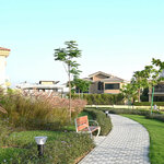 KRS Landscape Works (3/1, 6 Street, Ras Al Khor Industrial 3, Ras Al Khor, Dubai), peyzaj tasarımı