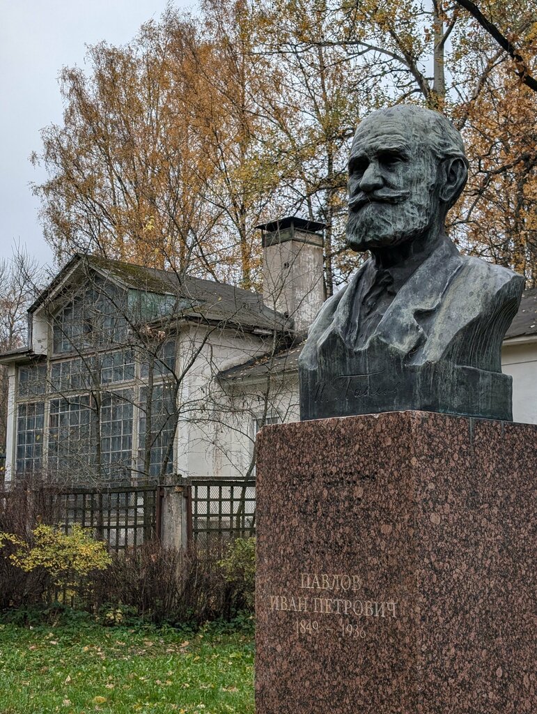 Anıt, heykel И.П. Павлов, Saint‑Petersburg ve Leningradskaya oblastı, foto
