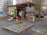 Vegetables Fruits (Astana, Ońtústik-Shyǵys shaǵyn aýdany (oń jaǵy), Balbyraýyn kóshesi), manavlar  Astana'dan