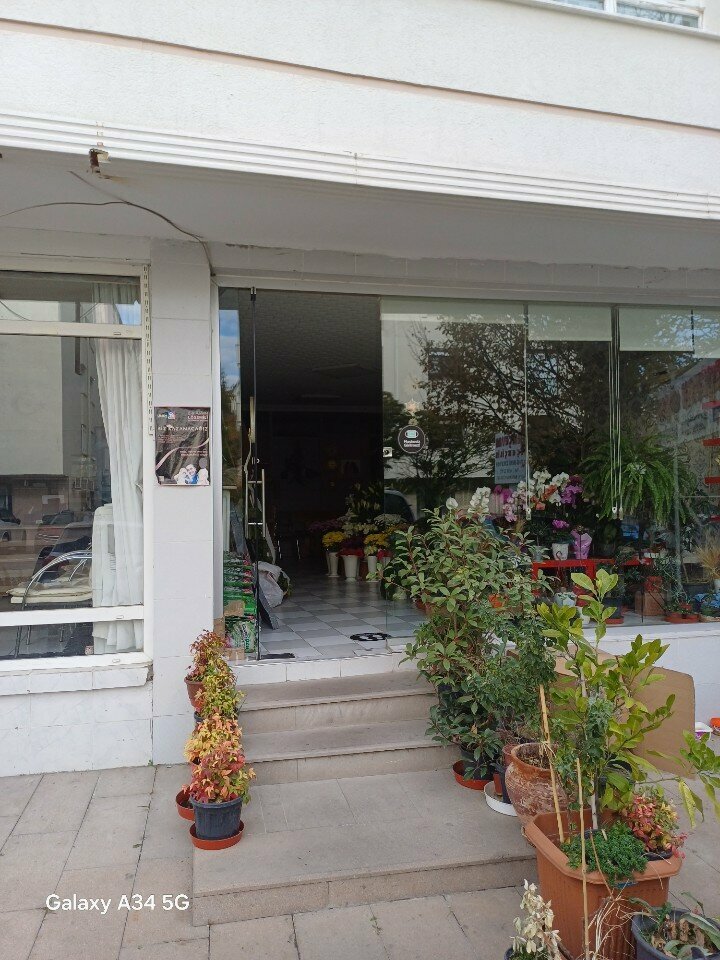 Yapay bitki ve çiçek Bahçevan Çiçek, Ankara, foto
